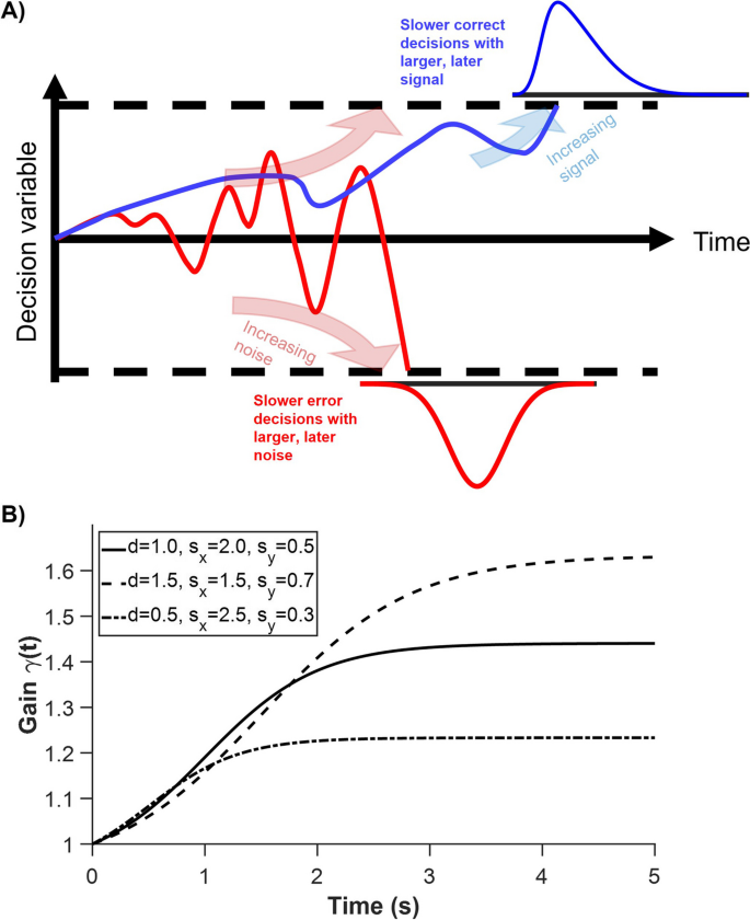 Of Rodents and Primates: Time-Variant Gain in Drift–Diffusion Decision ...