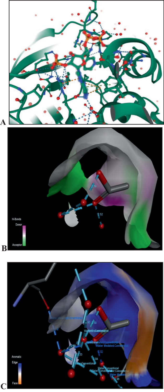 Endophytic Pseudomonas pseudoalcaligenes and arbuscular mycorrhizal ...
