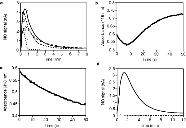 Ascaris haemoglobin is a nitric oxide-activated ‘deoxygenase’ | Nature