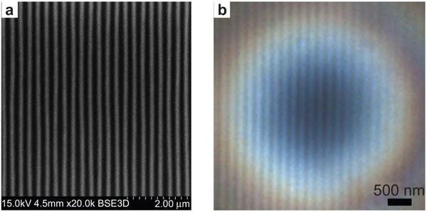 Label-free super-resolution imaging of adenoviruses by submerged ...