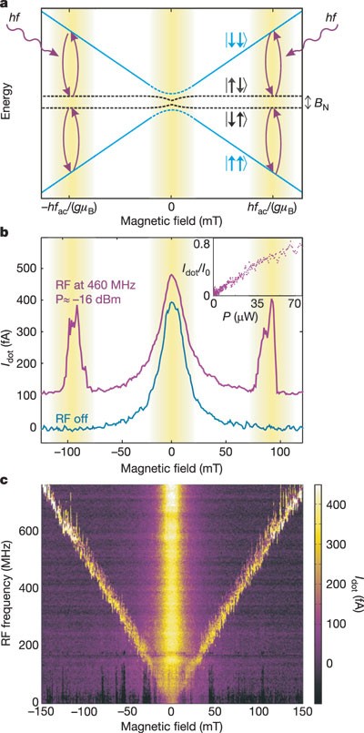 Driven coherent oscillations of a single electron spin in a quantum dot ...