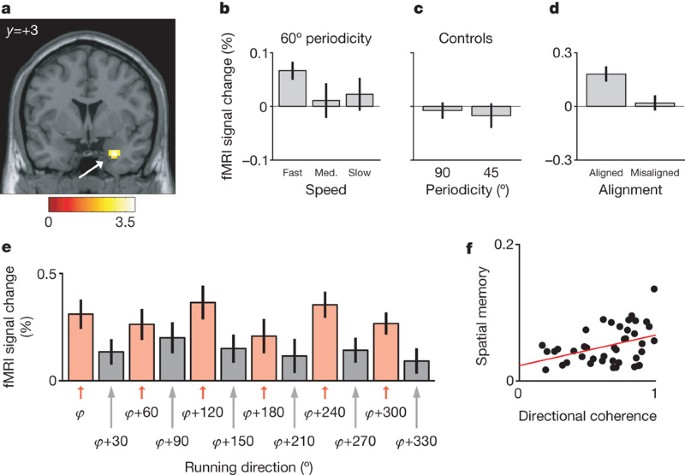 Evidence for grid cells in a human memory network | Nature