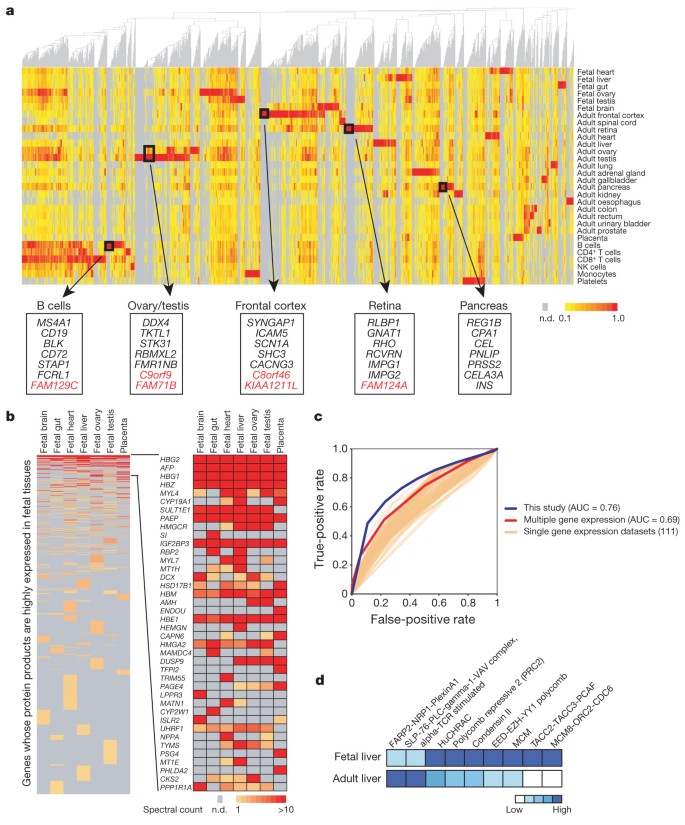 A draft map of the human proteome | Nature
