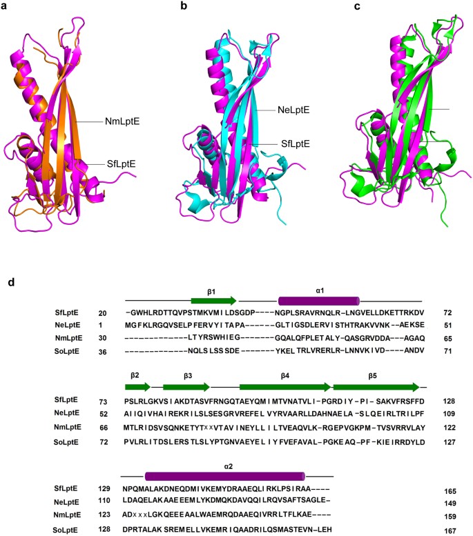 Structural basis for lipopolysaccharide insertion in the bacterial ...