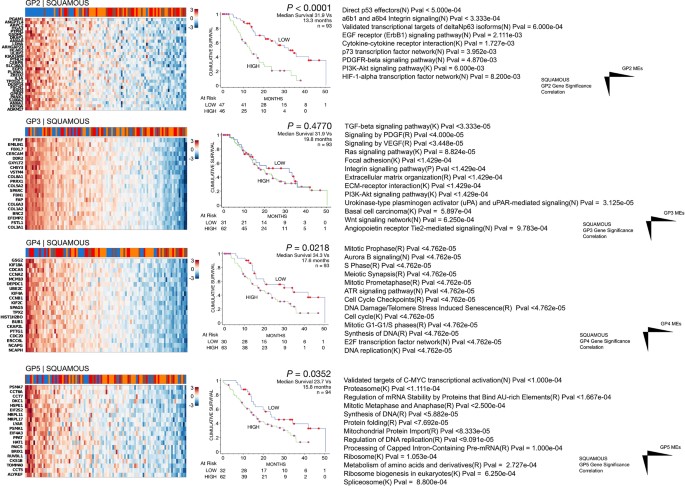 Genomic analyses identify molecular subtypes of pancreatic cancer | Nature