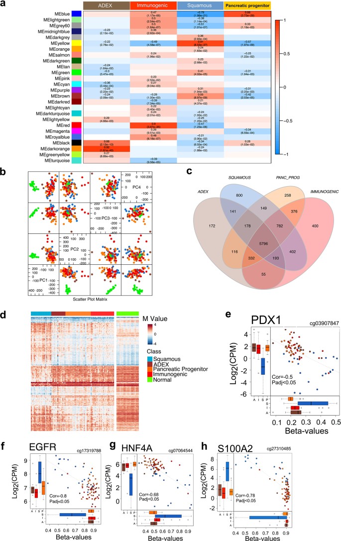 Genomic analyses identify molecular subtypes of pancreatic cancer | Nature