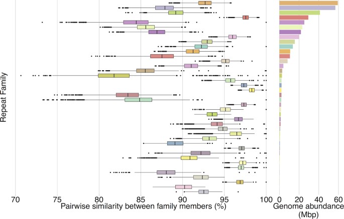 The Atlantic salmon genome provides insights into rediploidization | Nature