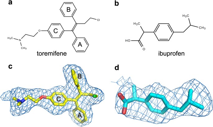Toremifene interacts with and destabilizes the Ebola virus glycoprotein ...