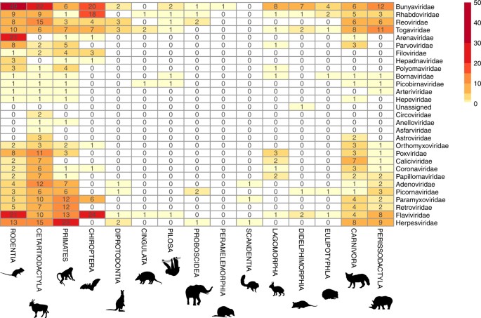 Host and viral traits predict zoonotic spillover from mammals | Nature