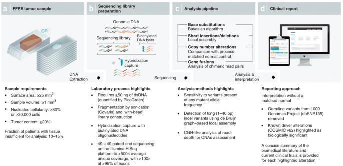 Development and validation of a clinical cancer genomic profiling test ...