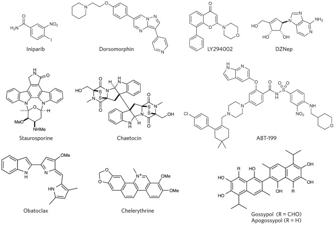 The promise and peril of chemical probes | Nature Chemical Biology