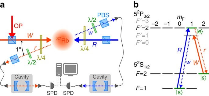 Generation of single photons with highly tunable wave shape from a cold ...