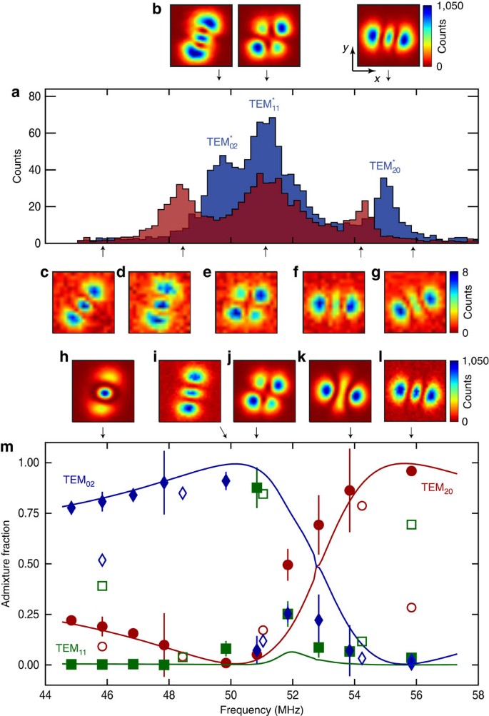 Supermode-density-wave-polariton condensation with a Bose–Einstein ...
