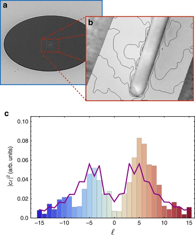 Measuring the orbital angular momentum spectrum of an electron beam ...