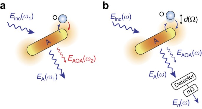 Resolving the electromagnetic mechanism of surface-enhanced light ...