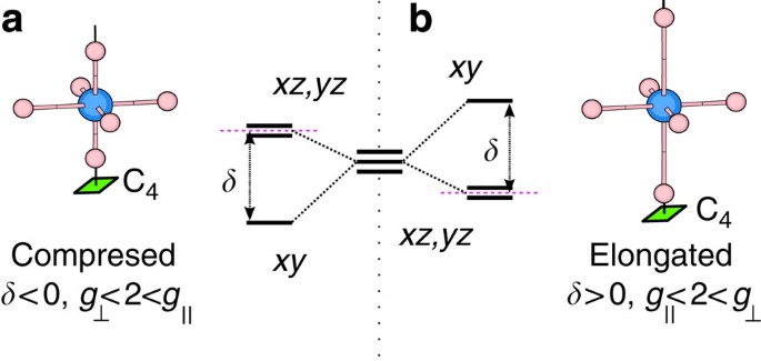 Orbital reconstruction in nonpolar tetravalent transition-metal oxide ...