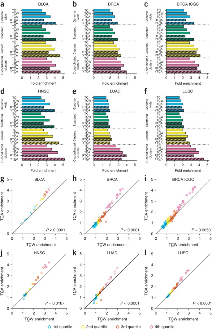 An APOBEC3A hypermutation signature is distinguishable from the ...