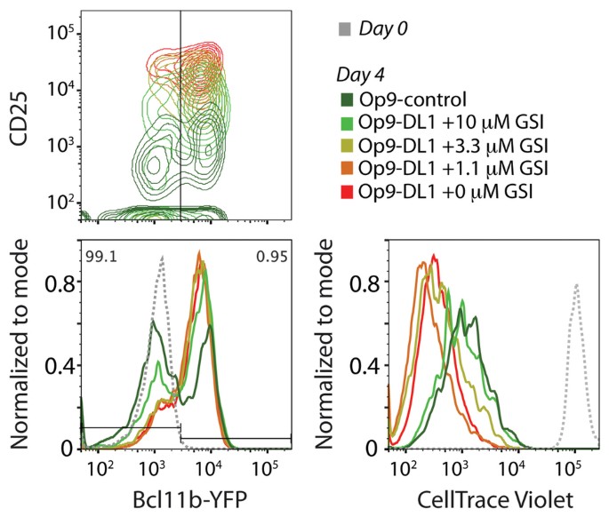 Asynchronous combinatorial action of four regulatory factors activates ...