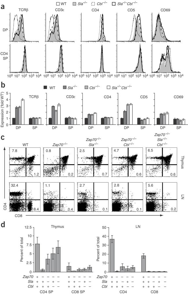 Src-like adaptor protein regulates TCR expression on thymocytes by ...