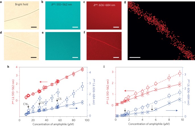 Topological defects in liquid crystals as templates for molecular self ...