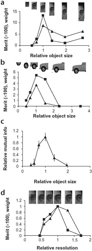 Visual features of intermediate complexity and their use in classification | Nature Neuroscience