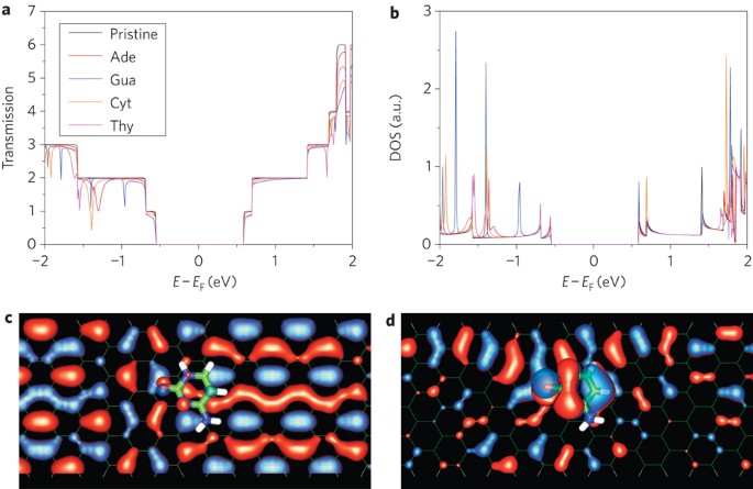 Fast DNA sequencing with a graphene-based nanochannel device | Nature Nanotechnology