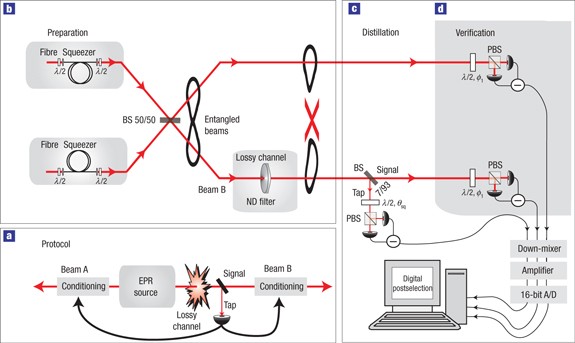 Experimental entanglement distillation of mesoscopic quantum states ...