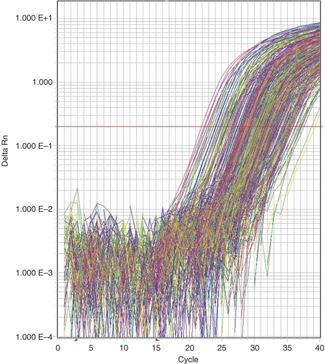 Analyzing real-time PCR data by the comparative CT method | Nature ...