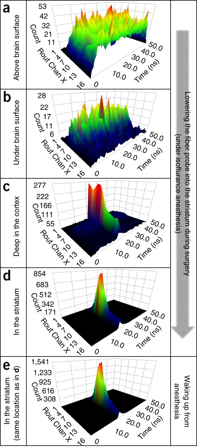 Deep brain optical measurements of cell type–specific neural activity ...