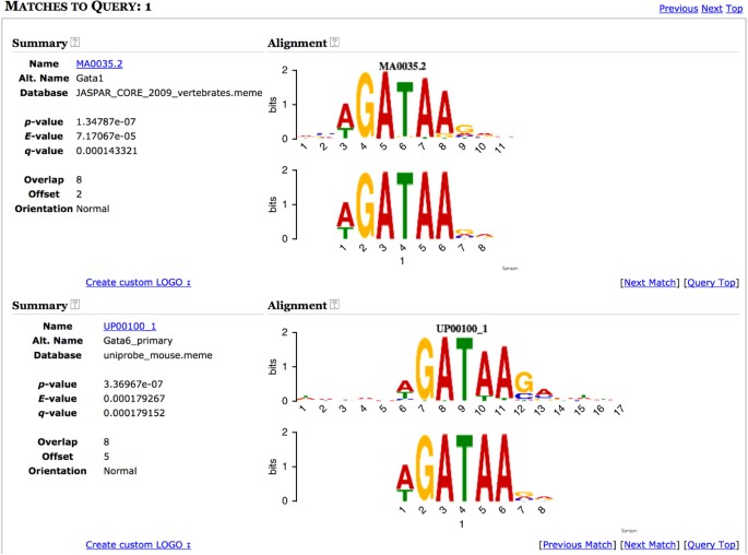 Motif-based analysis of large nucleotide data sets using MEME-ChIP | Nature Protocols