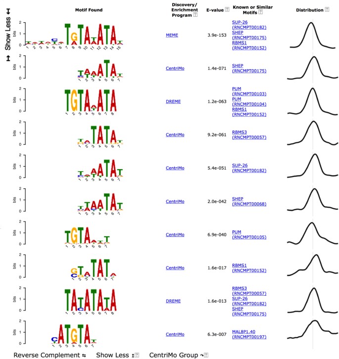 Motif-based analysis of large nucleotide data sets using MEME-ChIP ...