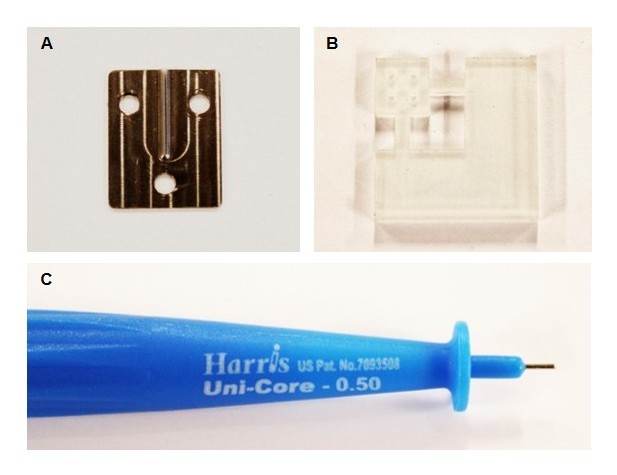 Preparation and implementation of optofluidic neural probes for in vivo ...