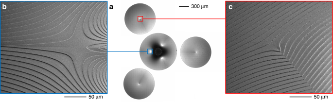Multiplication and division of the orbital angular momentum of light ...