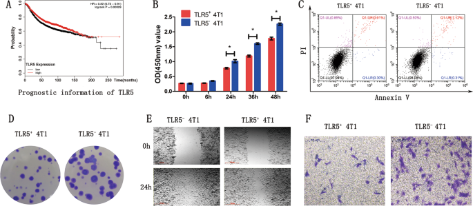 TLR5: A prognostic and monitoring indicator for triple-negative breast ...