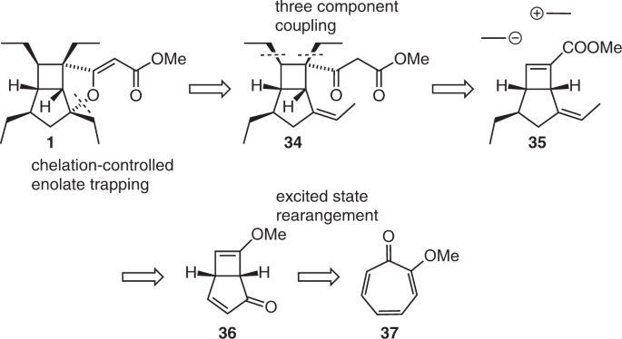 Synthesis and biological evaluation of (±)-hippolachnin and analogs ...