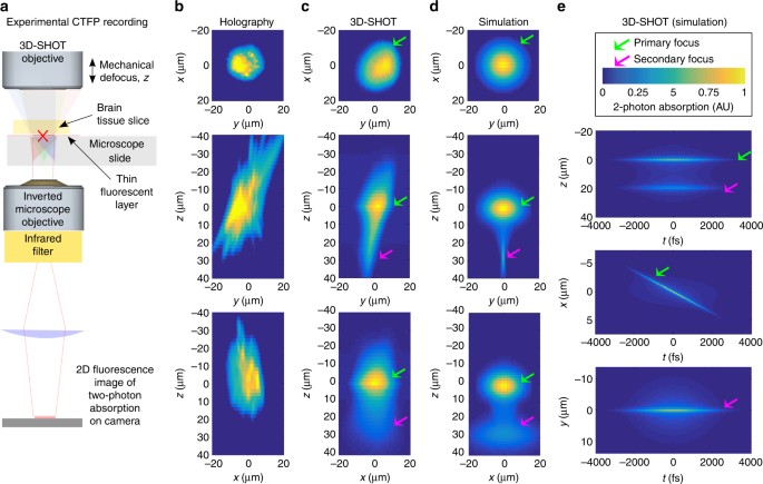 Three-dimensional scanless holographic optogenetics with temporal ...
