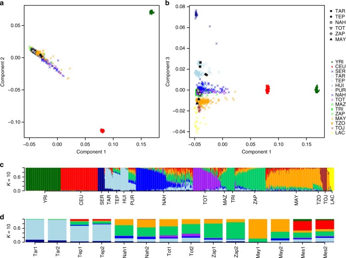 Demographic history and biologically relevant genetic variation of ...