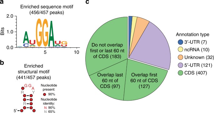 Global role of the bacterial post-transcriptional regulator CsrA ...