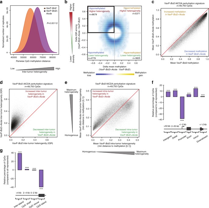 AICDA drives epigenetic heterogeneity and accelerates germinal center ...