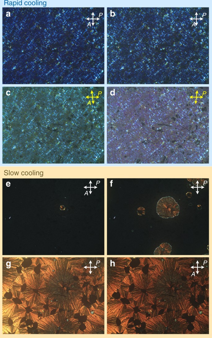An unusual type of polymorphism in a liquid crystal | Nature Communications