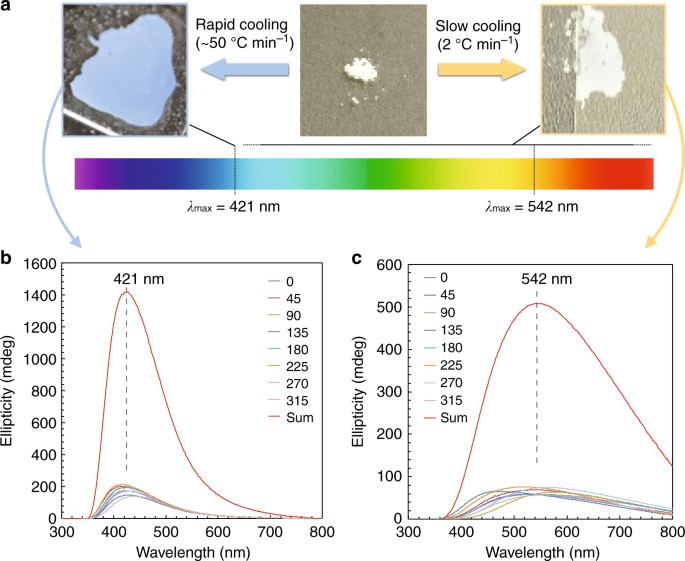 An unusual type of polymorphism in a liquid crystal | Nature Communications