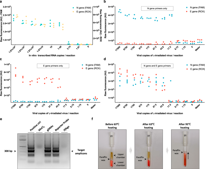A rapid, accurate, scalable, and portable testing system for COVID-19 ...