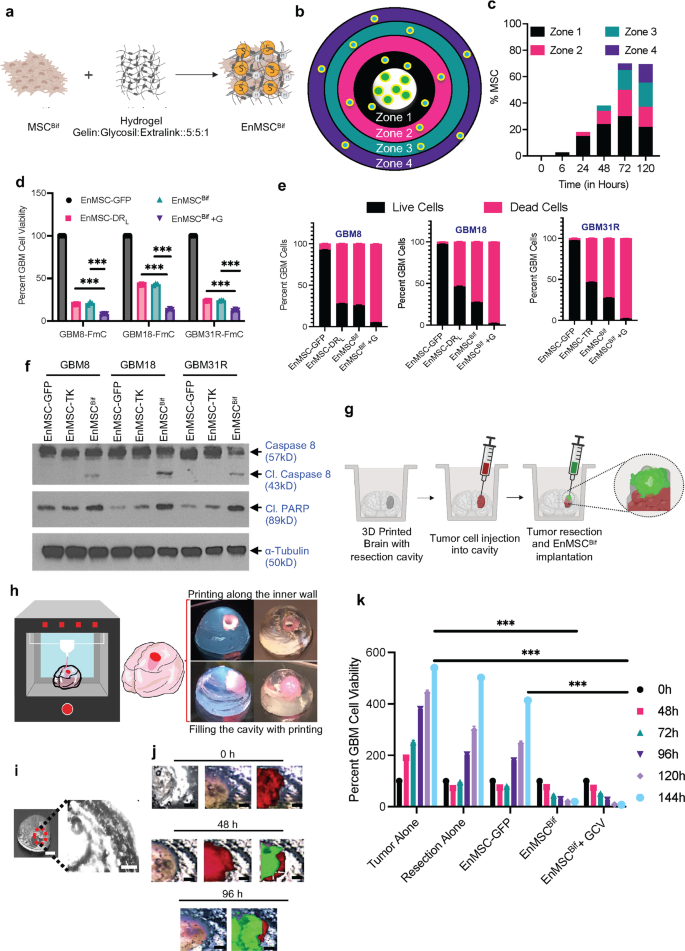 RETRACTED ARTICLE: Target receptor identification and subsequent ...
