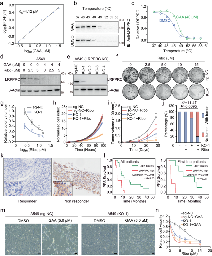 The RNA-binding protein LRPPRC promotes resistance to CDK4/6 inhibition ...