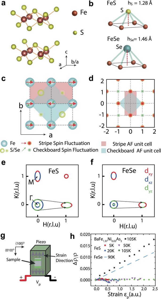 Spin excitations and the Fermi surface of superconducting FeS | npj ...