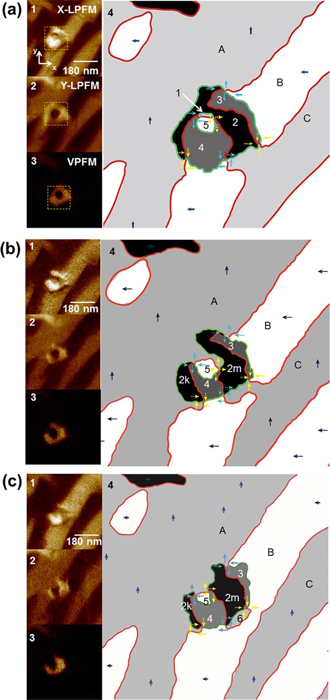 Rewritable ferroelectric vortex pairs in BiFeO 3 | npj Quantum Materials