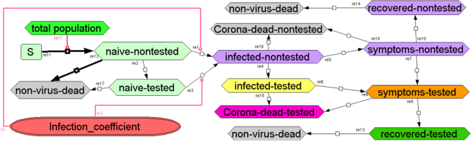 Advice from a systems-biology model of the corona epidemics | npj ...