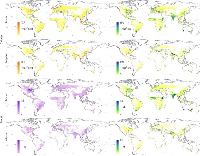 Increased food production and reduced water use through optimized crop ...
