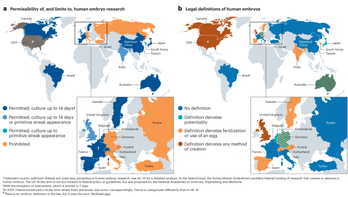 ‘Ceci n’est pas un embryon?’ The ethics of human embryo model research ...