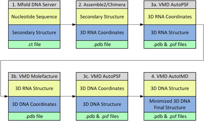 Three-dimensional modeling of single stranded DNA hairpins for aptamer ...